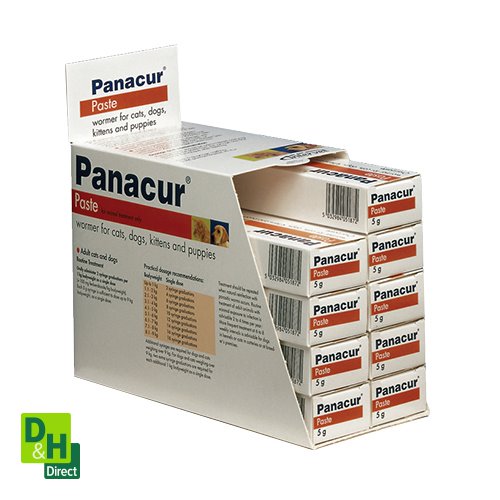Panacur Paste For Cats & Dogs 10 Syringe NFA-VPS - D&H Direct