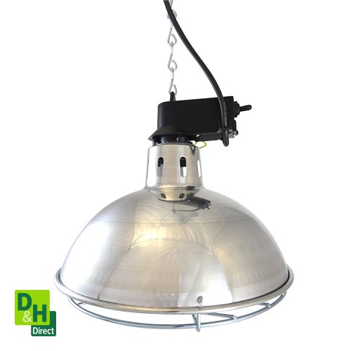 Standard Heat Lamp Complete - D&H Direct