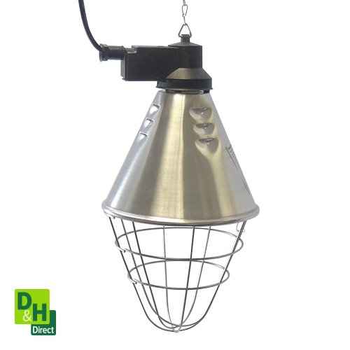 Standard Heat Lamp Complete - D&H Direct