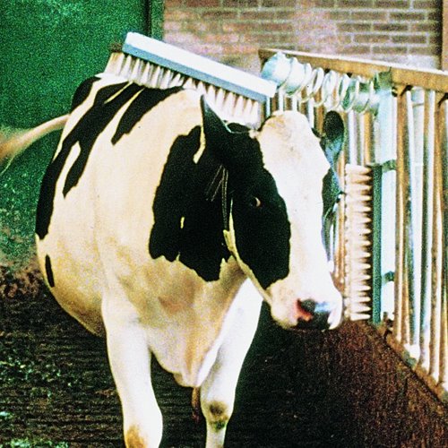 Cattle Hoist Lifting Frame - D&H Direct