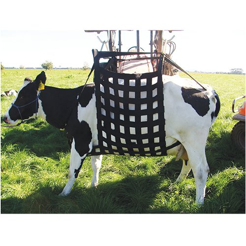 Liftease Cow Lifter - D&H Direct