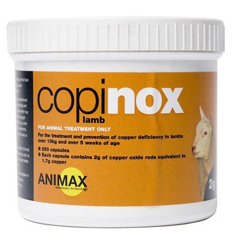 Copinox Bolus Sheep/Lamb Gun - D&H Direct