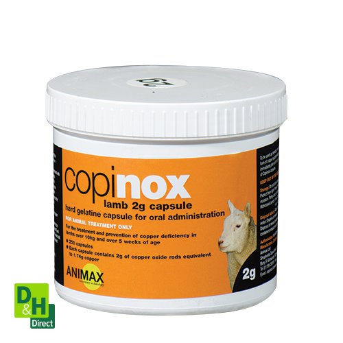 Copinox Applicator Sheep/Lamb - D&H Direct