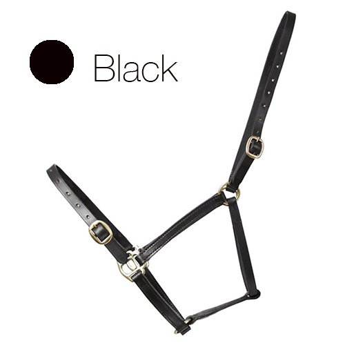 Leather Foal Head Collar Black - Medium - D&H Direct