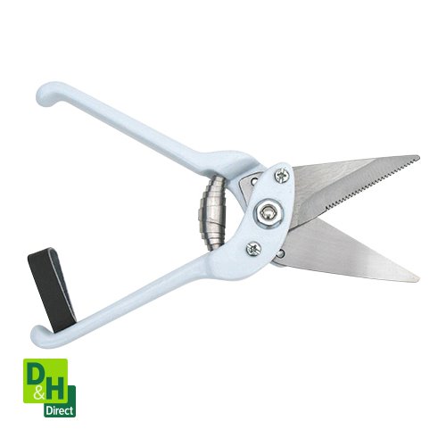 Care Foot Rot Shear - Plain Blade - D&H Direct