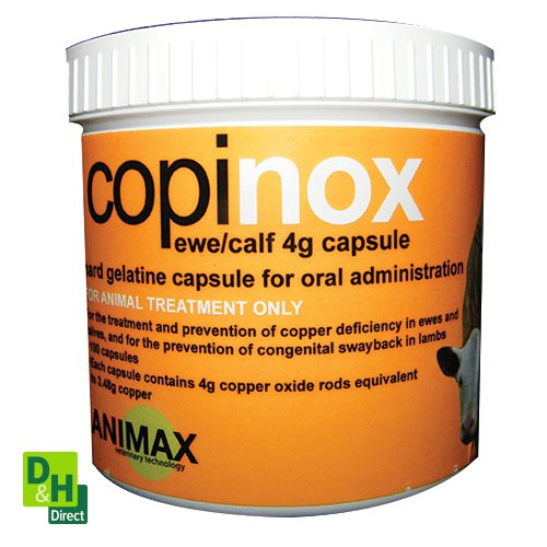 Copinox Applicator Sheep/Lamb - D&H Direct