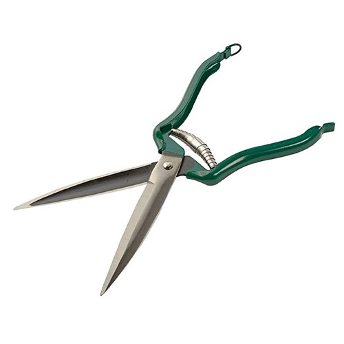 Dressing Shear - D&H Direct